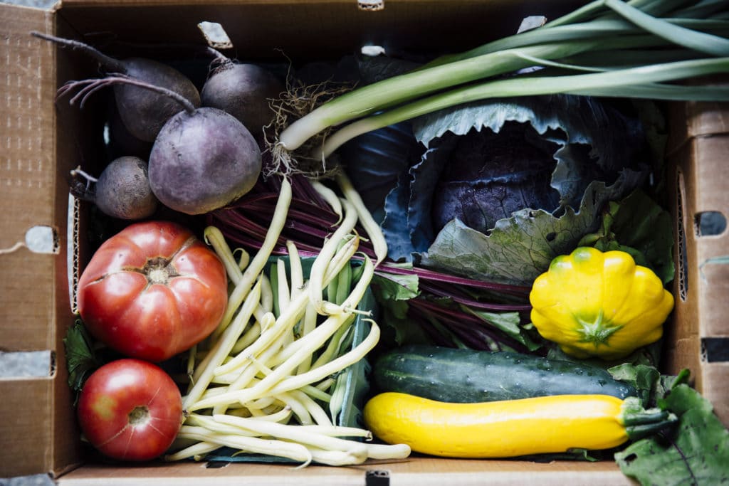 What to Expect in Your CSA Box